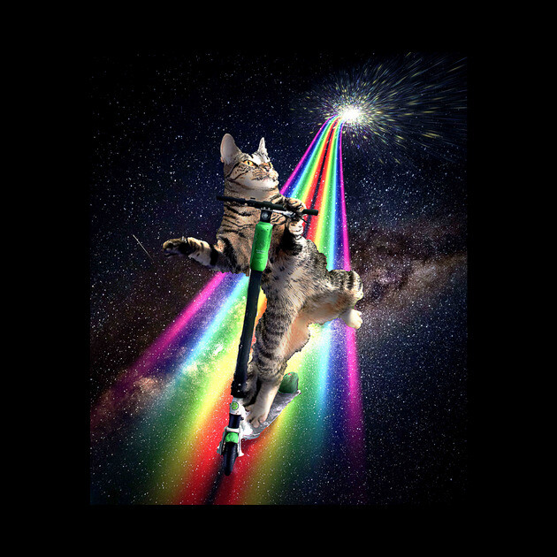 space cat gift