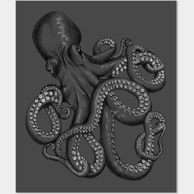 realistic octopus