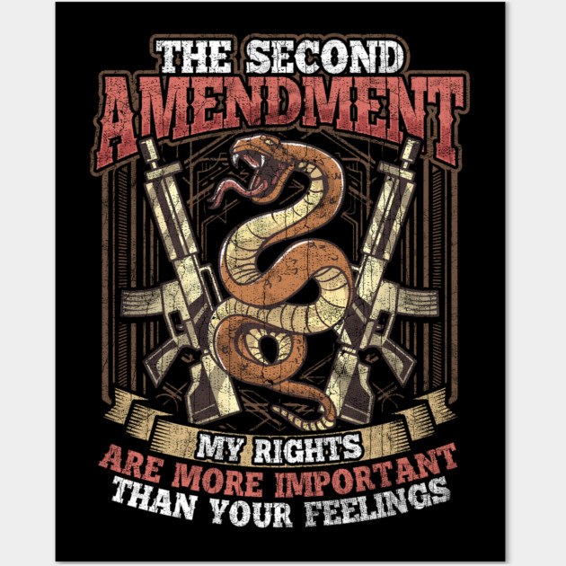 2nd amendment rights poster