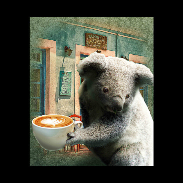 teacup koala