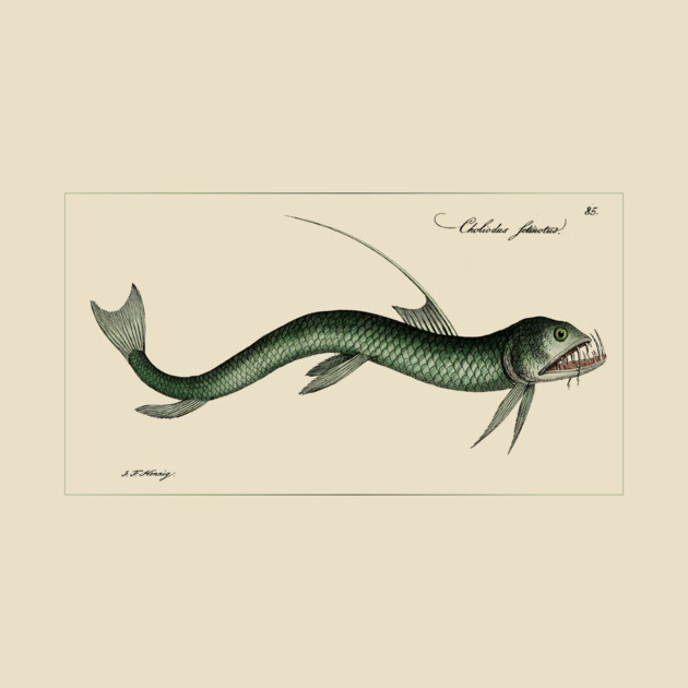 viperfish drawing