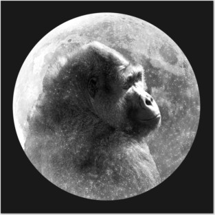 gorilla moon