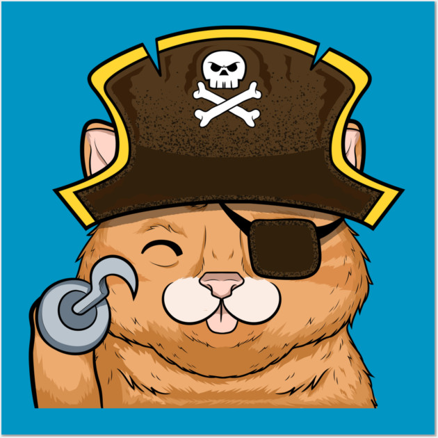 funny pirate cat