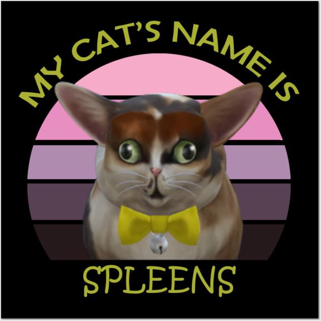 spleens cat