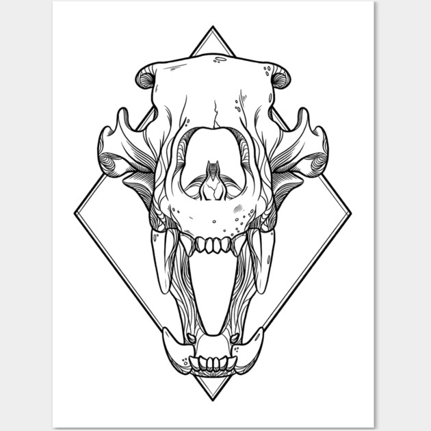bear skull drawing