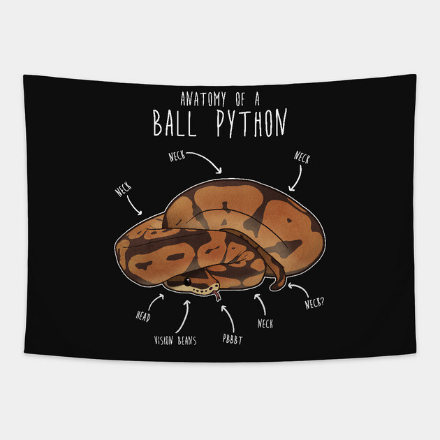 ball python anatomy diagram