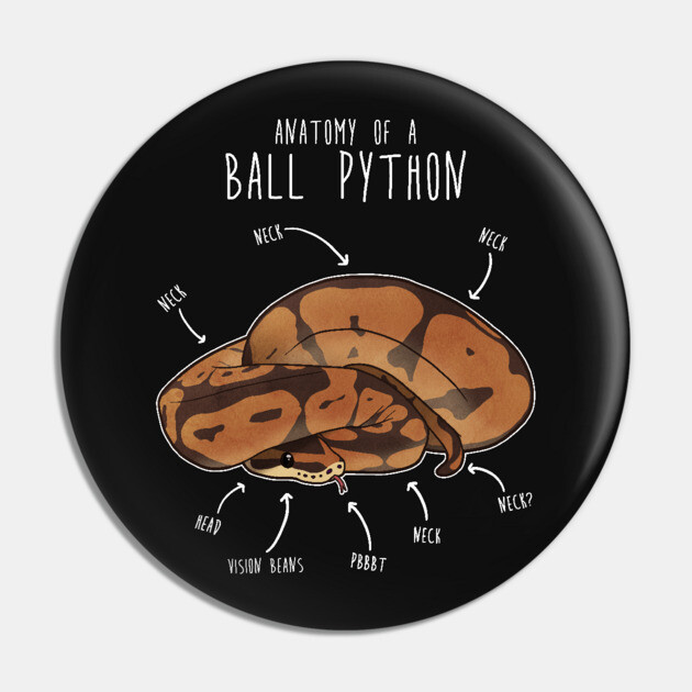 ball python anatomy diagram