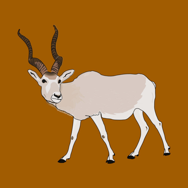 addax drawing