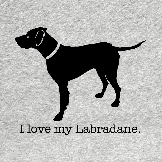 labradane size chart