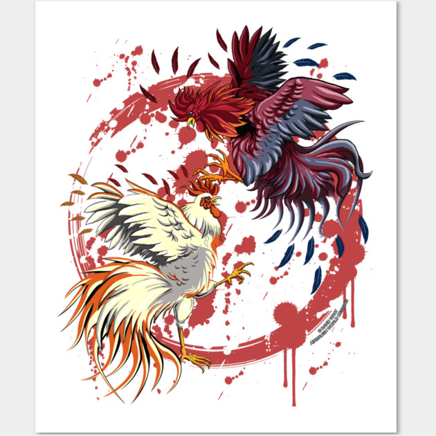 farm rooster fighting