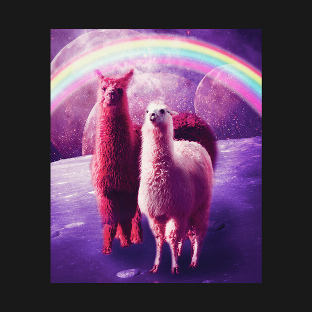 crazy llamas