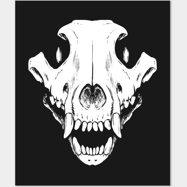 wolf skull