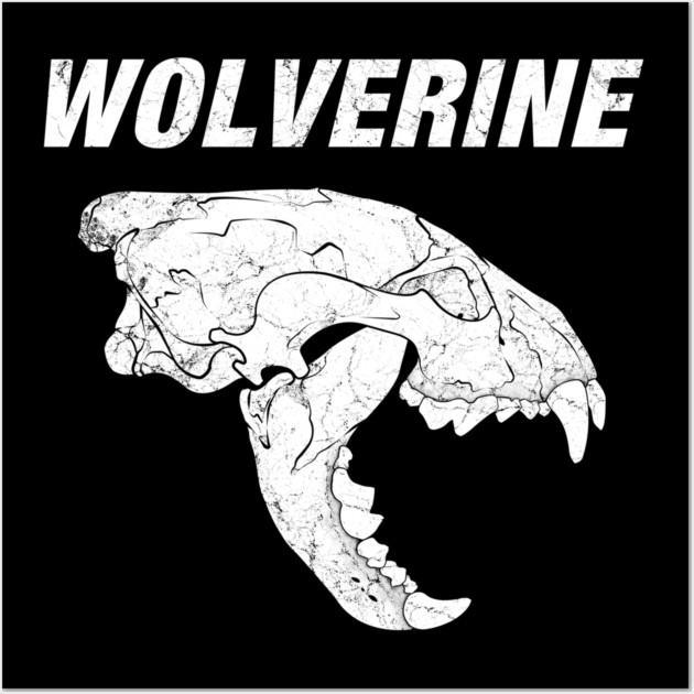 wolverine skull