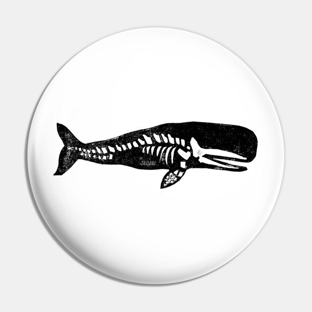 sperm whale skeleton drawing