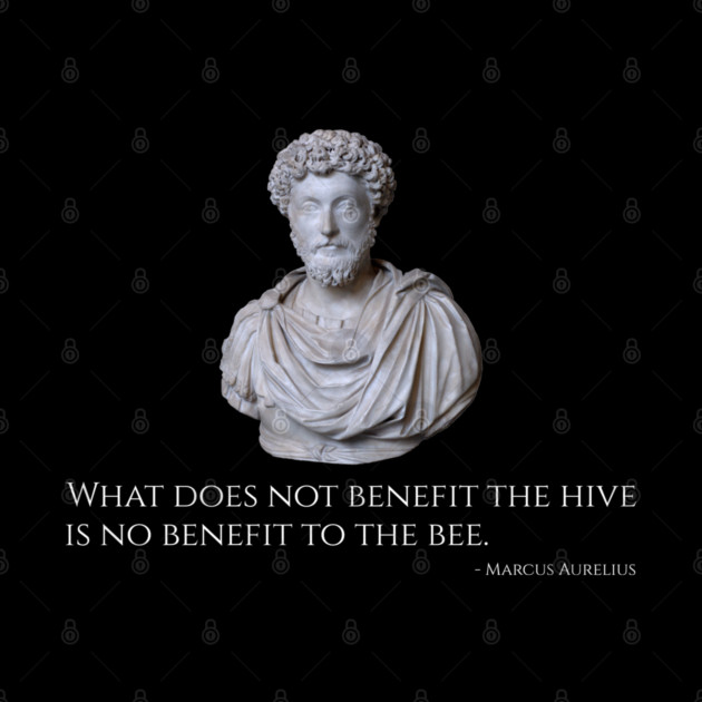 marcus aurelius philosophy