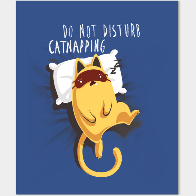 disturb cat