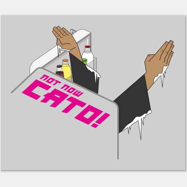 Pink Panther 'Not Now Cato' - Fridge Attack - Pink Panther Movie ...