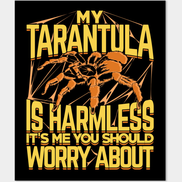 funny tarantula