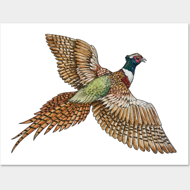 pheasant flying art