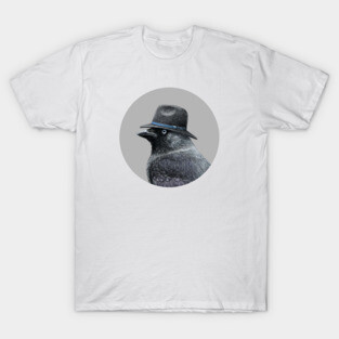 jackdaw shirts