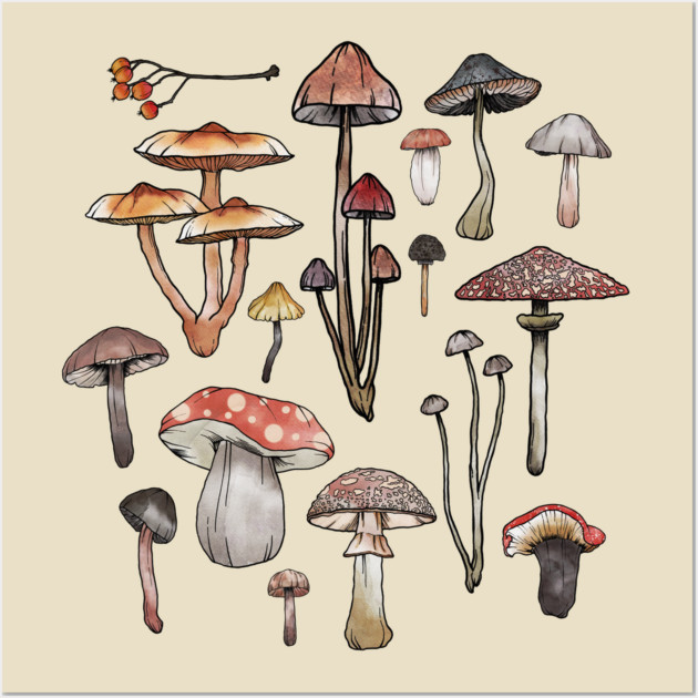 mushrooms drawing reference