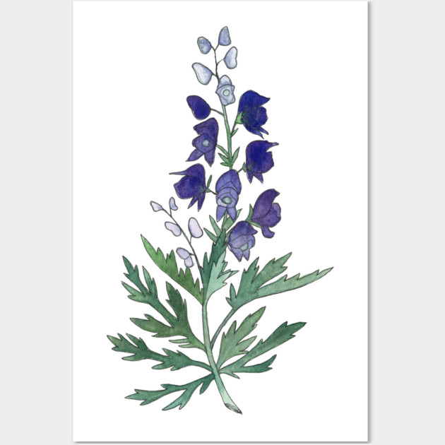 wolfsbane