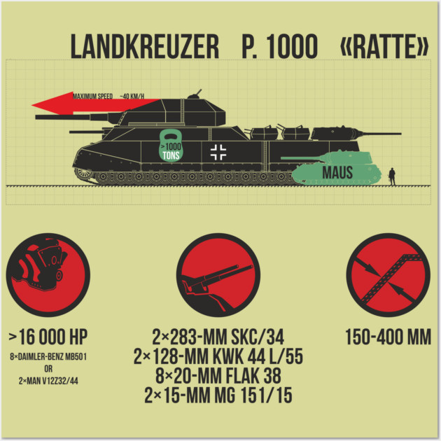 ratte size comparison