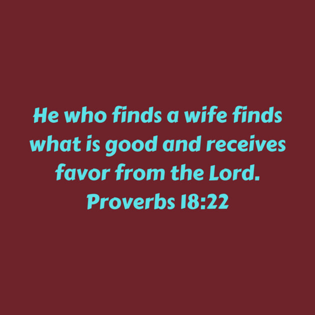 proverbs 18 22