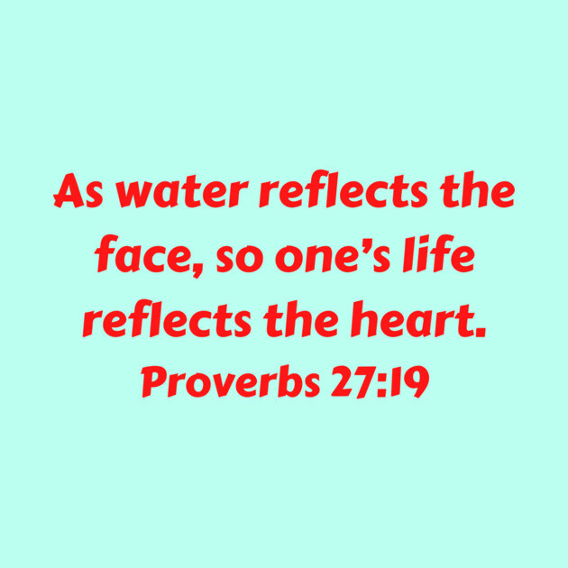 proverbs 27 v 19
