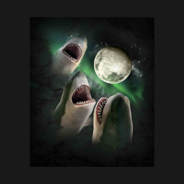 moon shark
