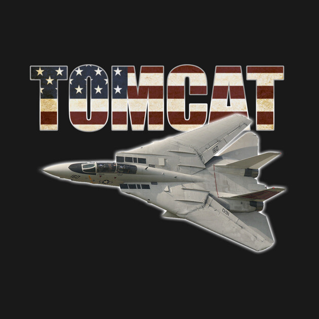 this is war tomcat