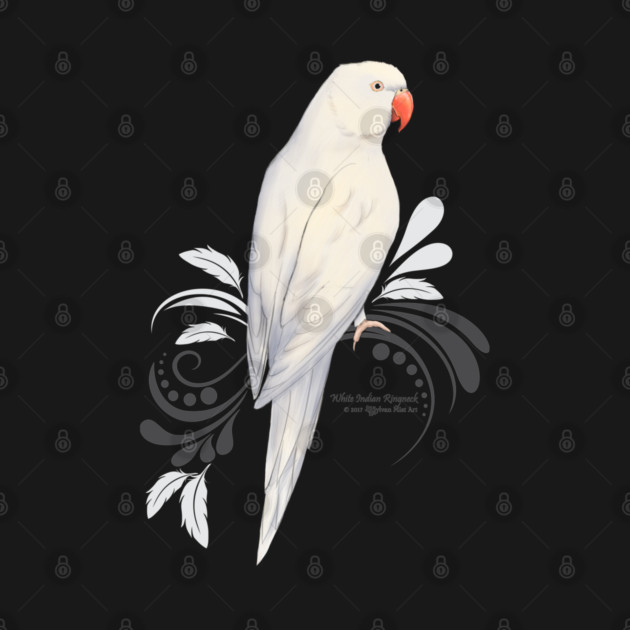 white indian ringneck