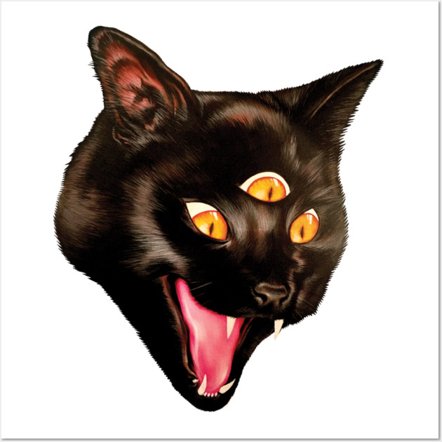 three eyed cat