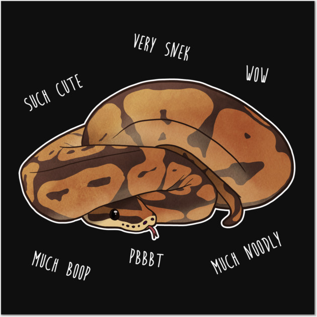 ball python cute art