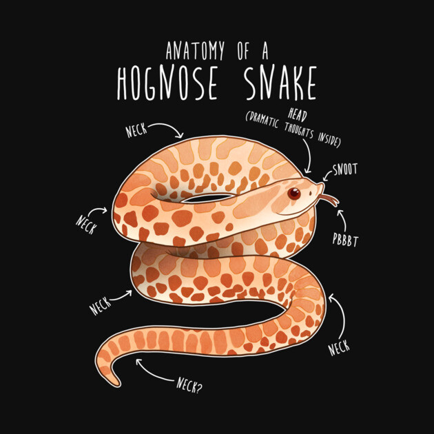 snake anatomy