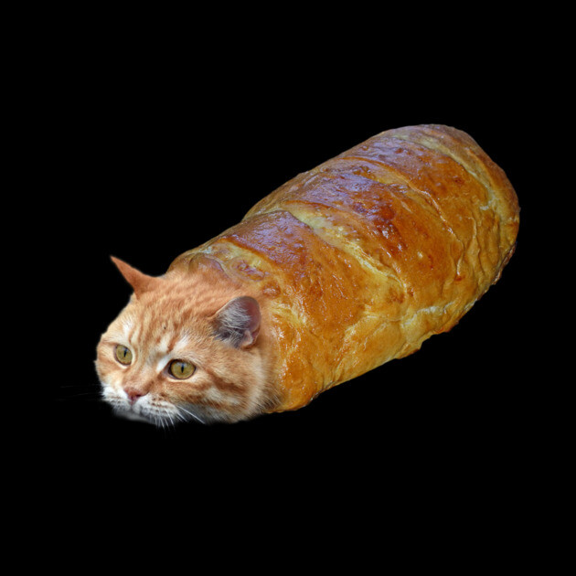 cat bread loaf