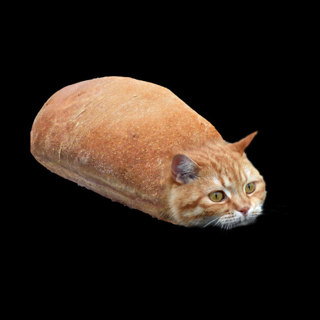 cat bread loaf