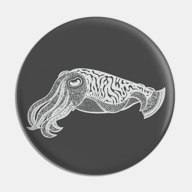 cute cuttlefish drawing