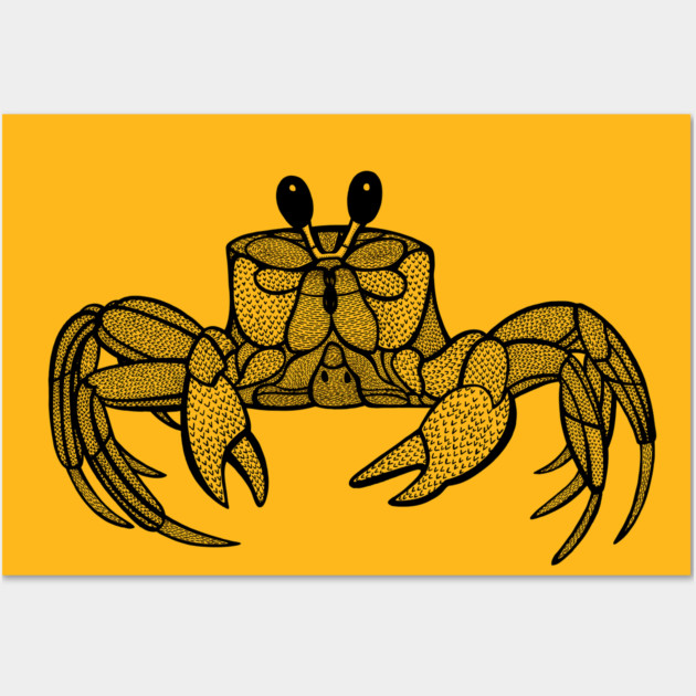ghost crab drawing