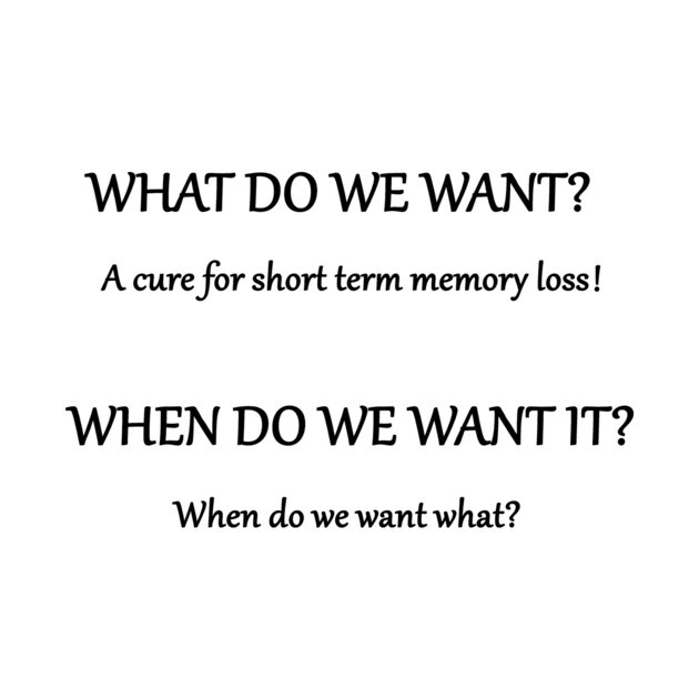 short term memory funny