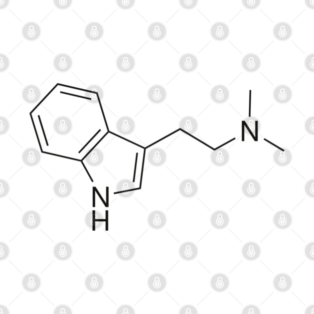 dimethyltryptamine molecule