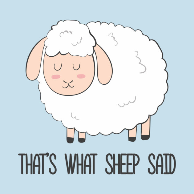 funny things about sheep