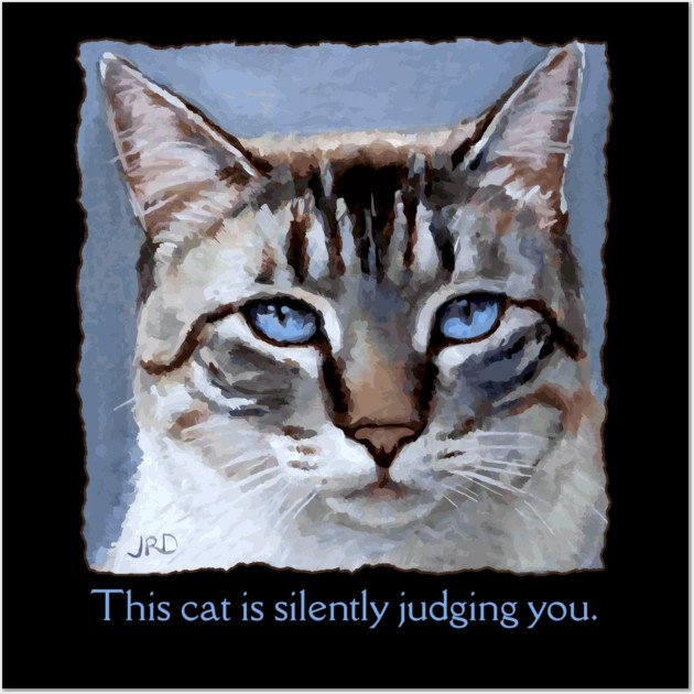judging face cat