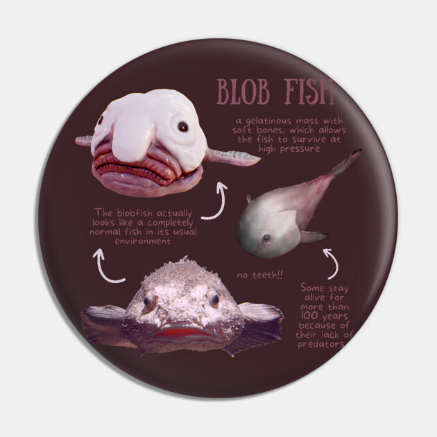 what do blobfish do