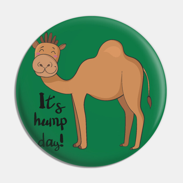 funny camel