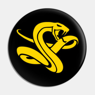 ancap flag pin