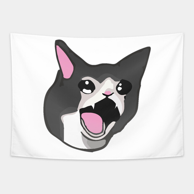 screaming cat crying