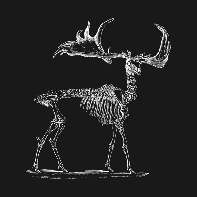 moose skeleton drawing