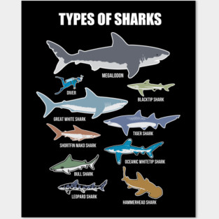 shark type