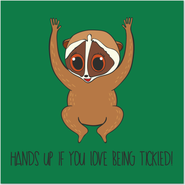 funny slow loris